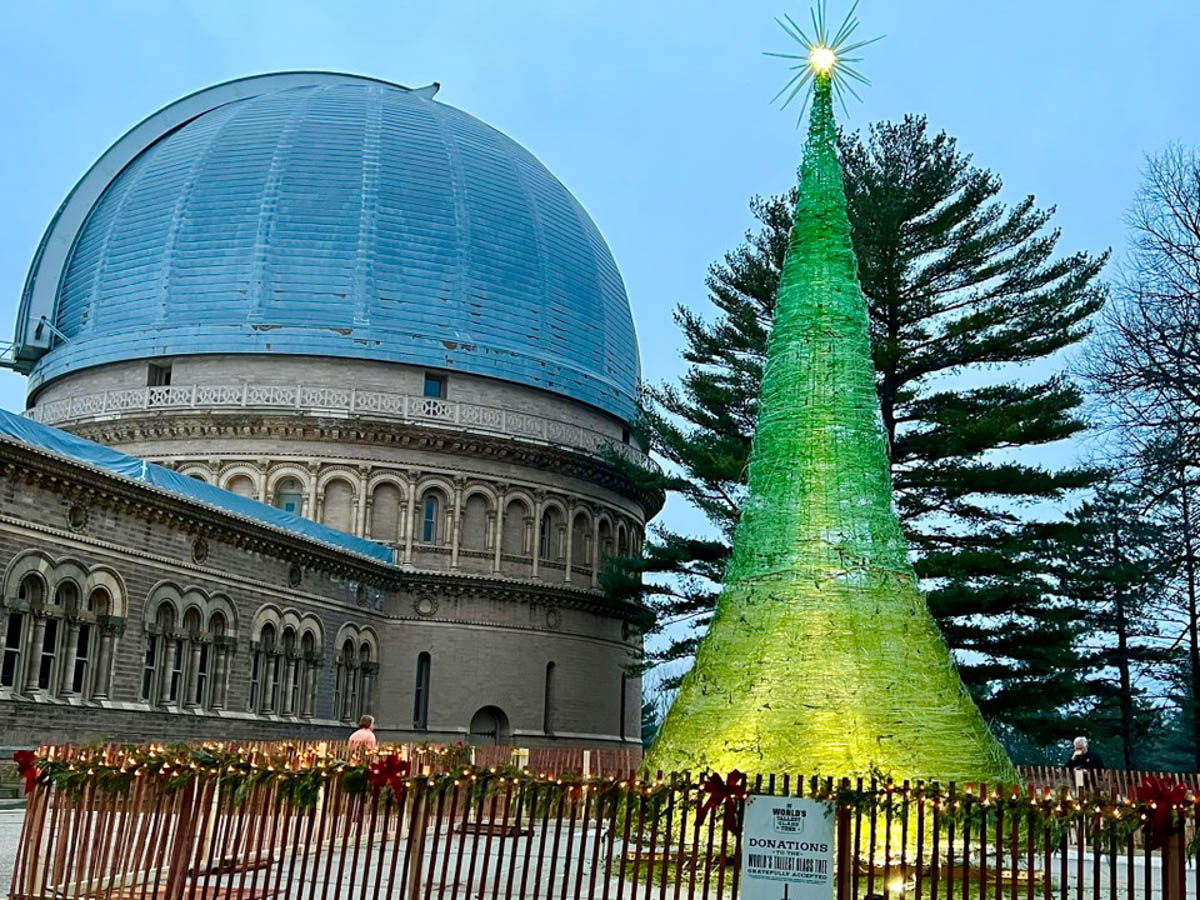 Worlds Tallest Glass Tree